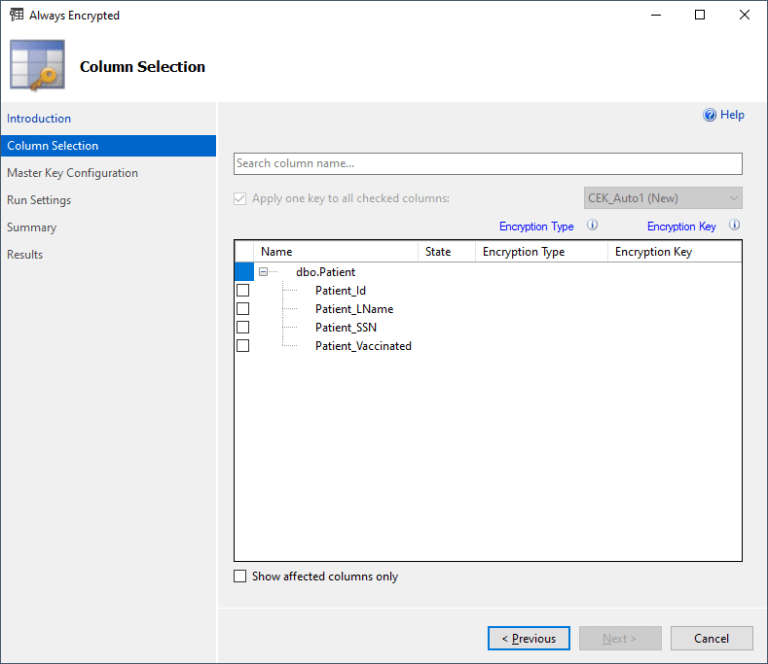 Always Encrypted Setup Example – Chad Callihan